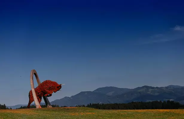 Жүргізушілер құрамы Red Bull Ring алдында төрт сағат бұрын өзгерді