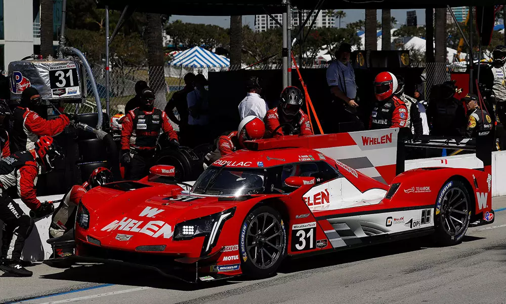 Derani, Nasr "Sambatra tamin'ny andro iray tena tsy vintana" tao Long Beach